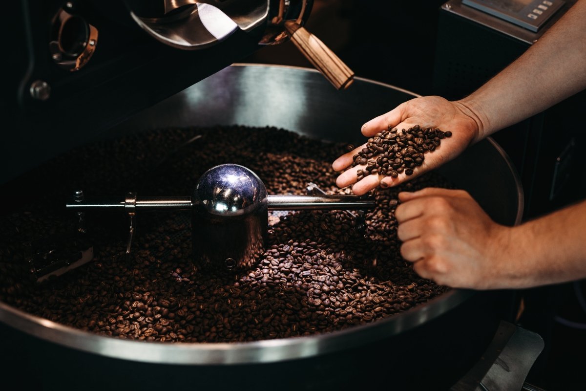 Arabica vs. Robusta: A Coffee Lover’s Guide – Uai Coffee